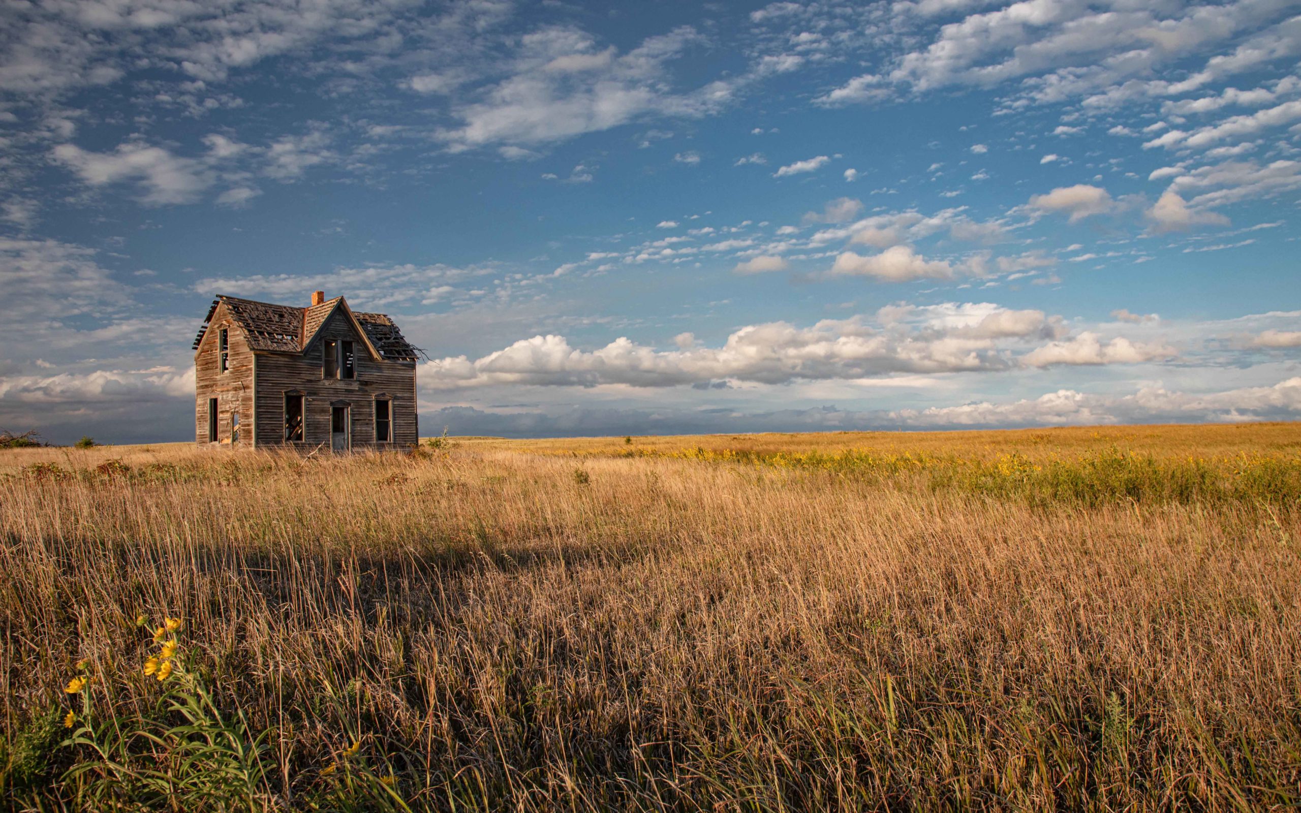Marilyn Friesen - Carriage Factory Art Gallery