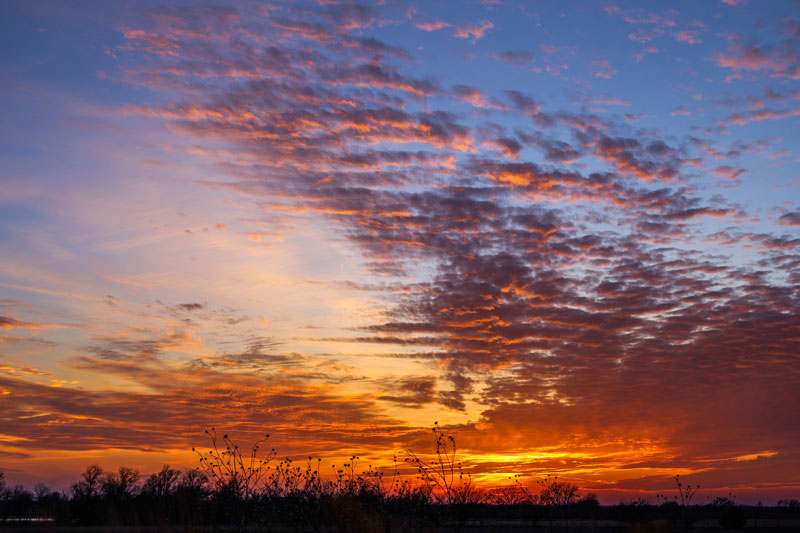 Michelle Voth - Carriage Factory Art Gallery